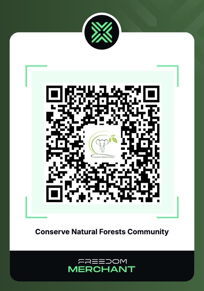 Conserve Natural Forests